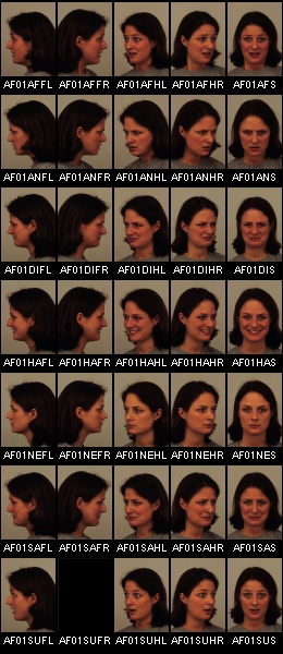 How To Use The Facial Emotion Detection Classification Api