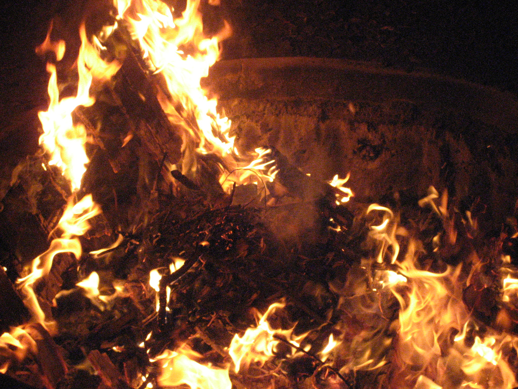 FSDRVC Yochi - Roboflow Universe