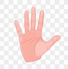 Deteksi Tangan Classification Dataset by YukiProject