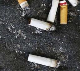 garbage detection Object Detection Dataset and Pre-Trained Model by EcoVision project