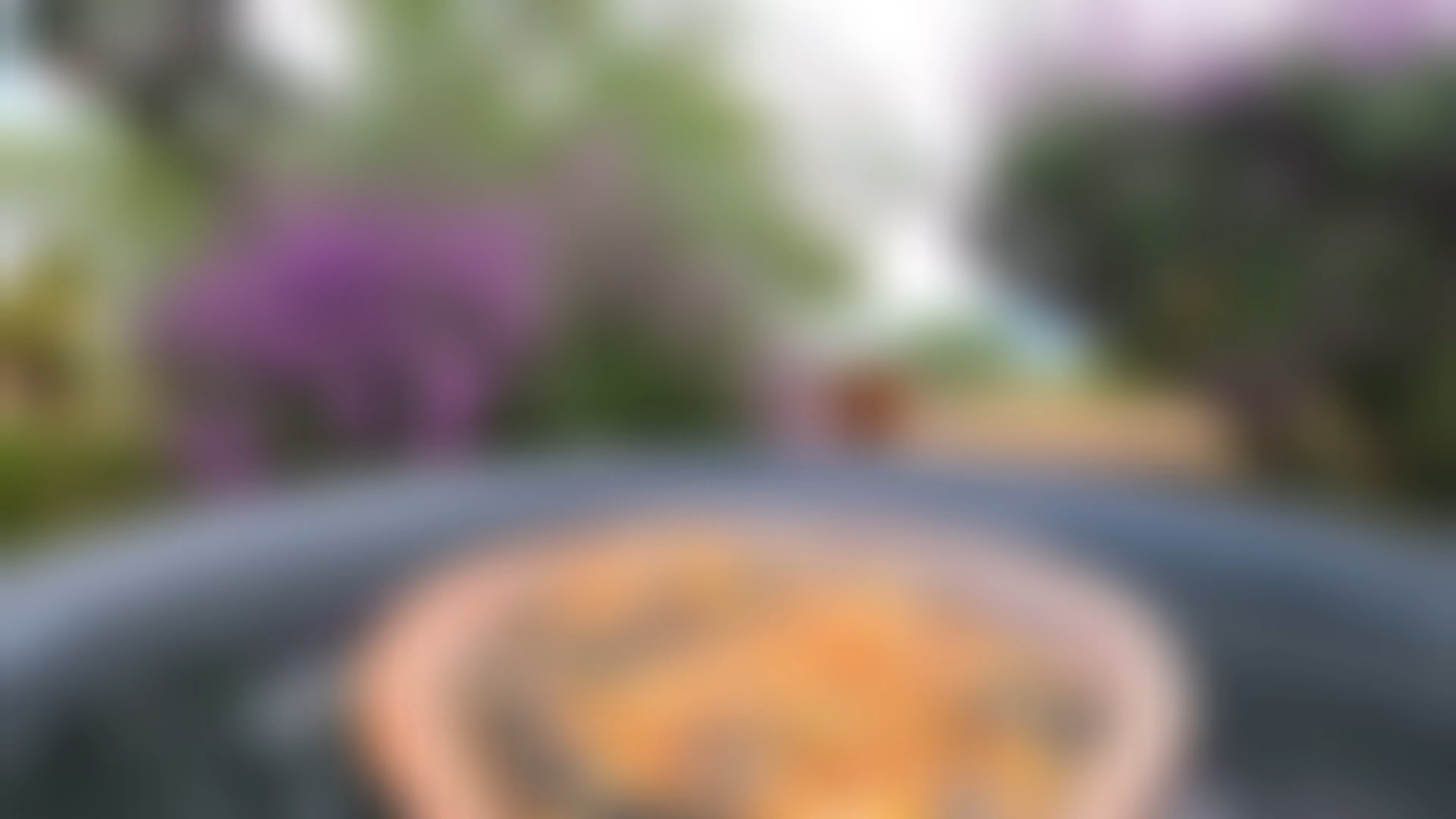Bird Classifier Object Detection Dataset And Pre Trained Model By