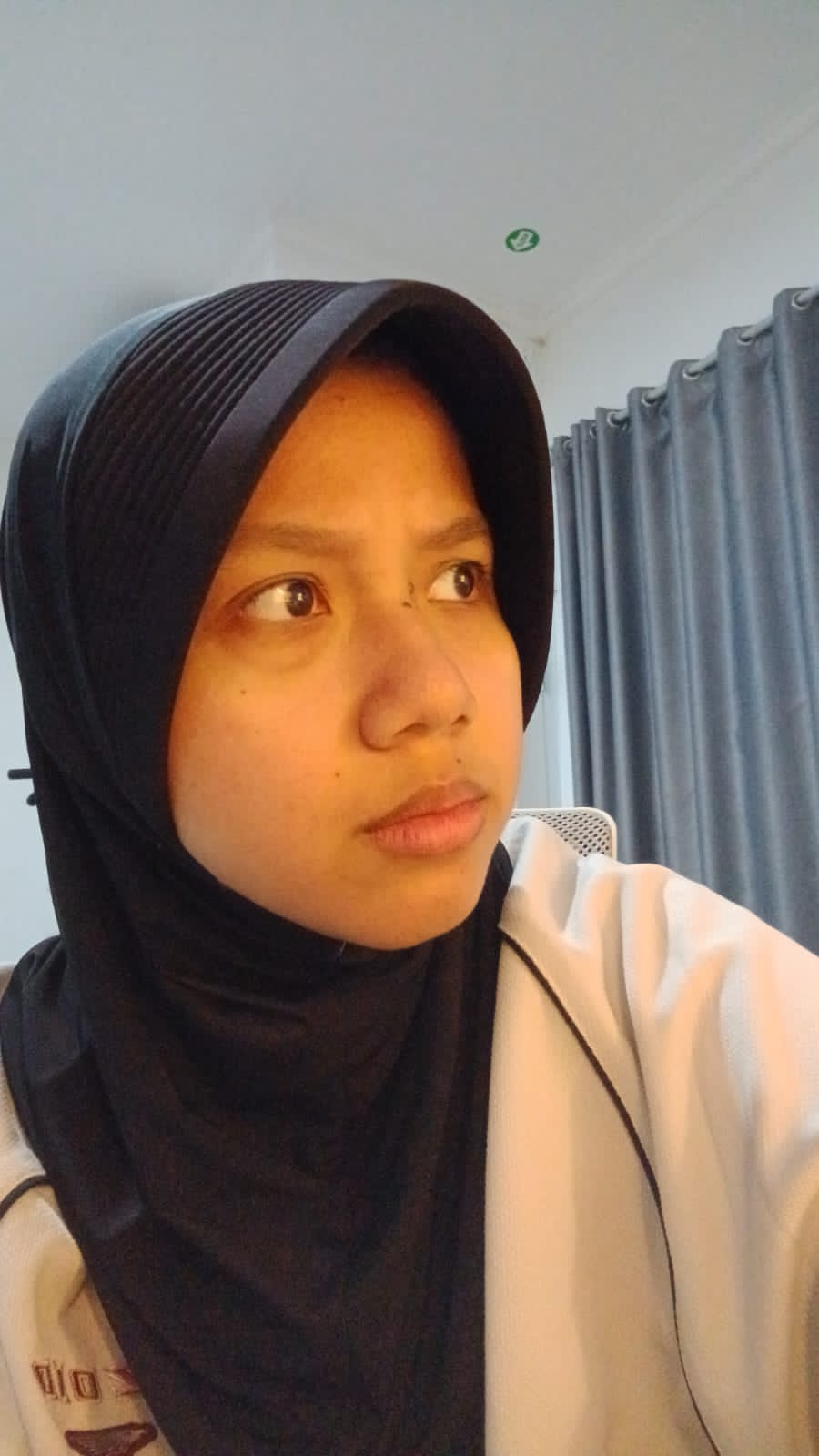 Face expression Object Detection Dataset by Bilqis Bassamah 10523258 1PA19