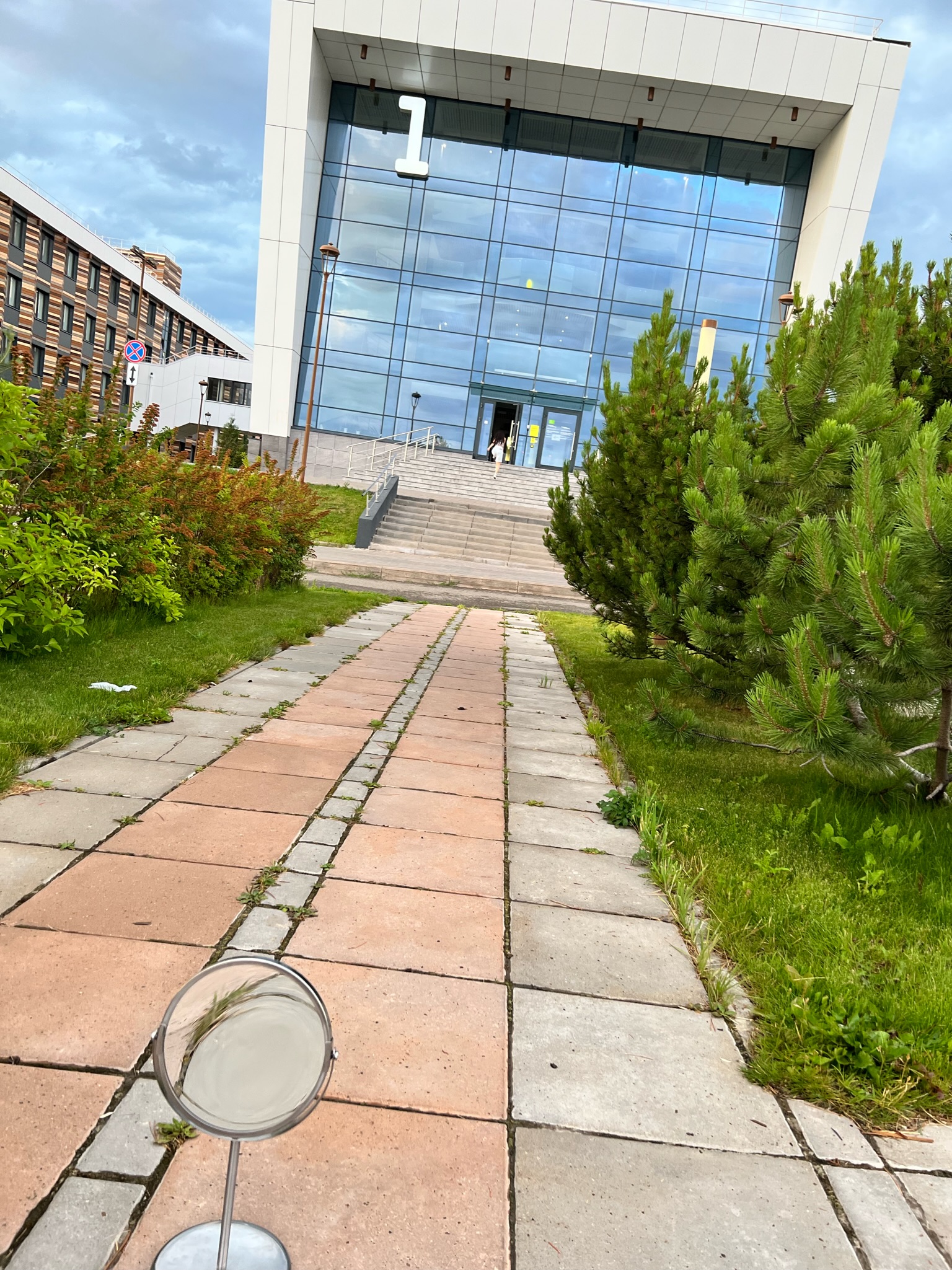 Mirror Dataset Object Detection Dataset and Pre-Trained Model by Innopolis Uniersity