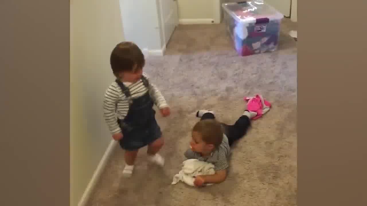 These4 Classification Dataset by thesis