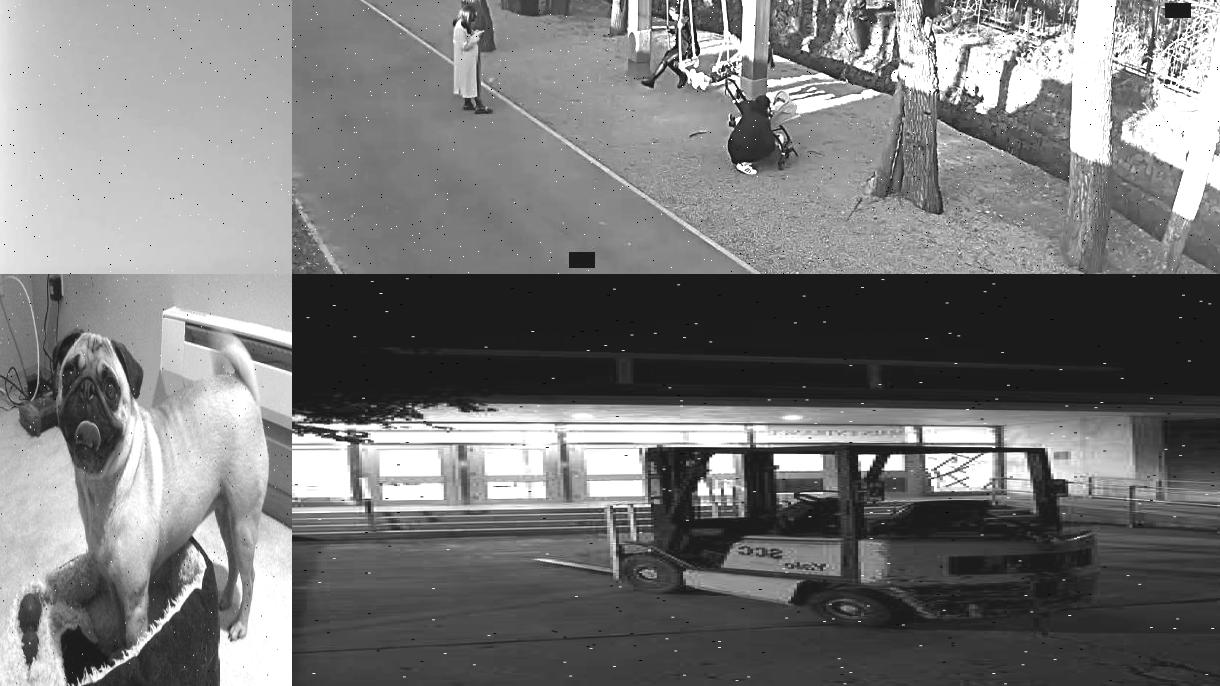 Humans Detection Practice Task Object Detection Dataset By Fgbc