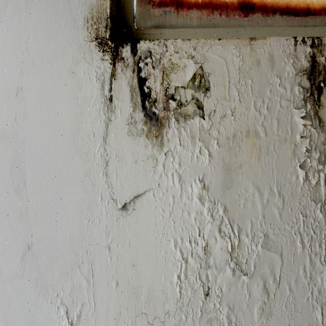 Wall Dataset Training Object Detection Dataset And Pre Trained Model By Final Year Project