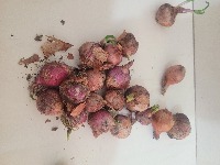 Anas Kadiri (anas-kadiri-ffnxr) - Roboflow Universe