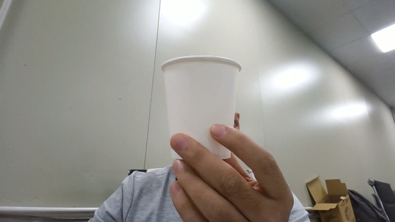 Yolov8 Object Detection Dataset V1 2024 12 21 3 51pm By Namhavan