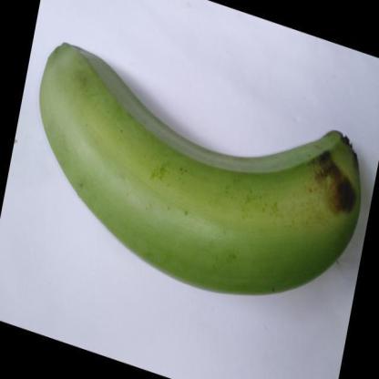 Detect And Classify Single-label Classification Classification Model by hortifruiti