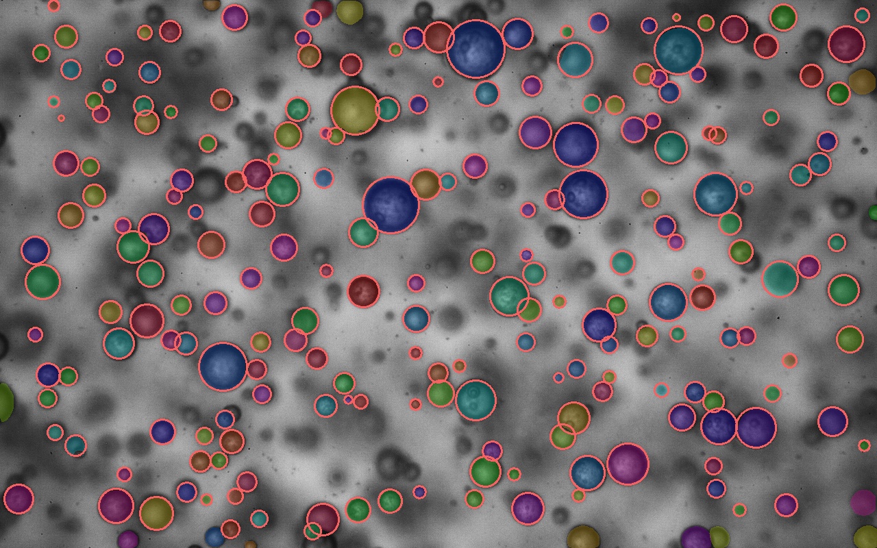 YOLO_bubble Object Detection Dataset by ww