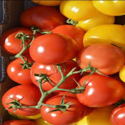 garvit (garvit-e9pqw) - Roboflow Universe