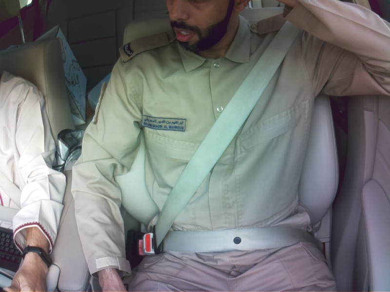 Seatbelt Instance Segmentation Dataset V3 2024 06 13 7 34am By Fyp