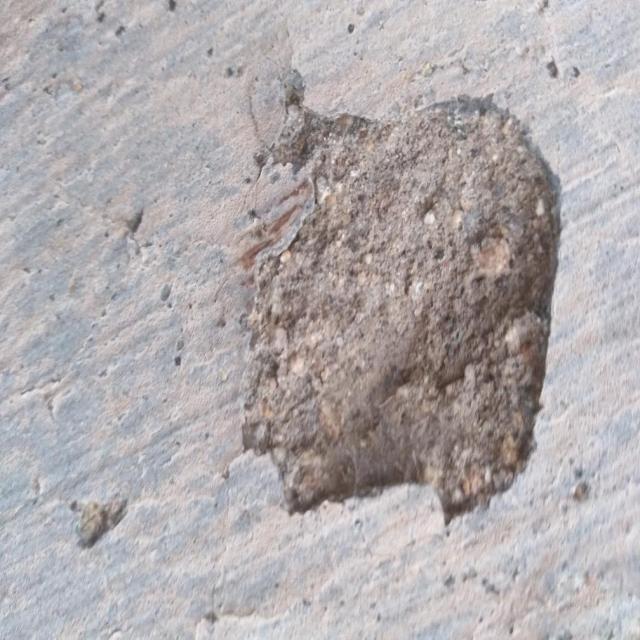 sasa (sasa-pbj8b) - Roboflow Universe