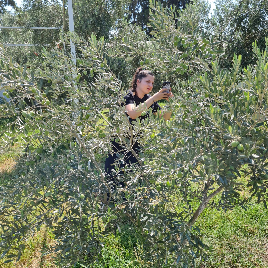 Tabit v1 Object Detection Dataset and Pre-Trained Model by kamezian