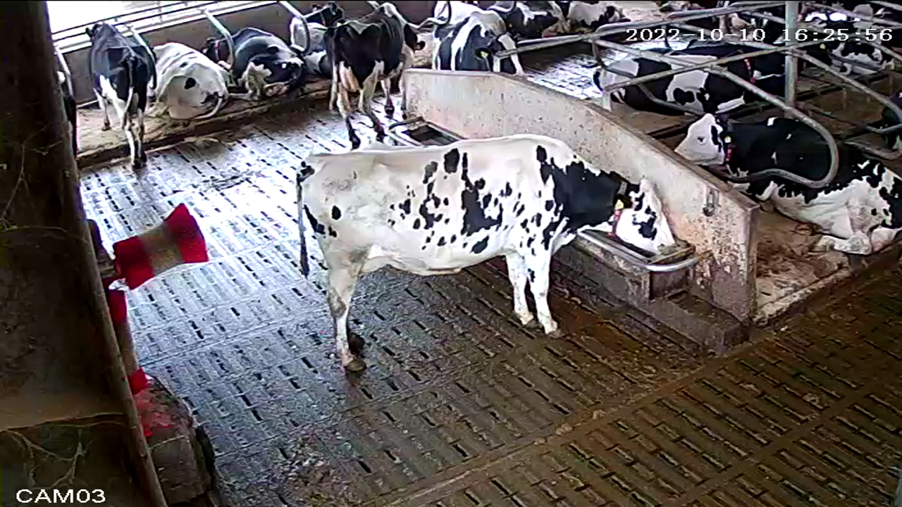 RP Master 2022 Object Detection Dataset by Master Research Project