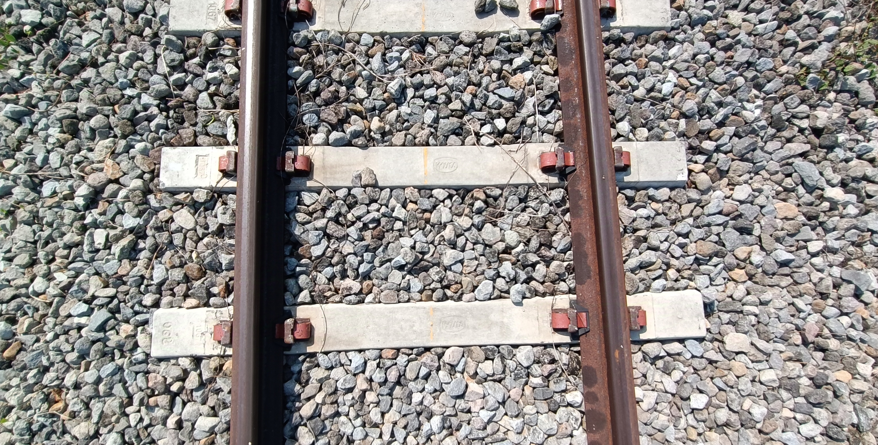 Inspect Object Detection Dataset and Pre-Trained Model by AMBA