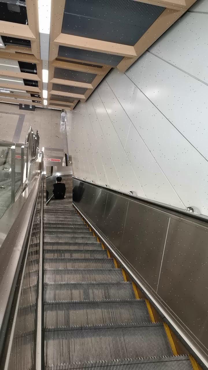 Anamoly Object Detection Dataset By Mess