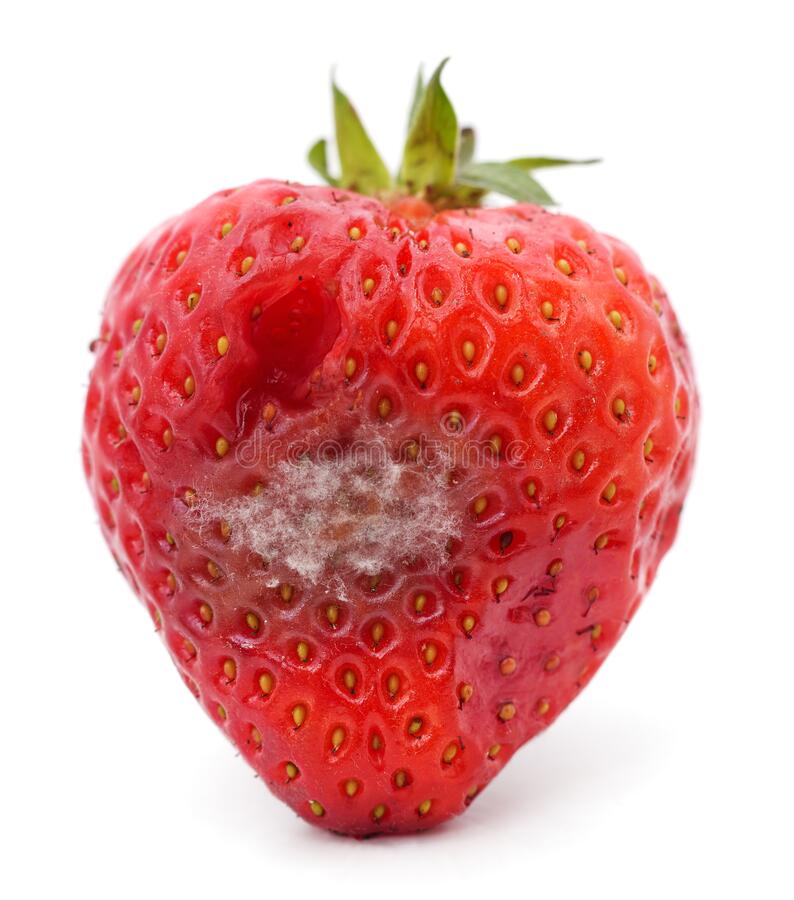 strawberry Object Detection Dataset by 黃佩華