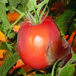 tomato checker Object Detection Dataset by youssef