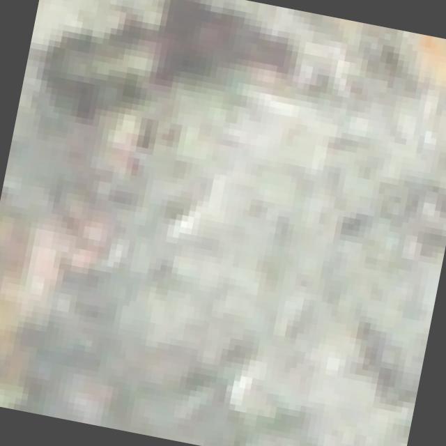 Tree_defect Classification Dataset by tree