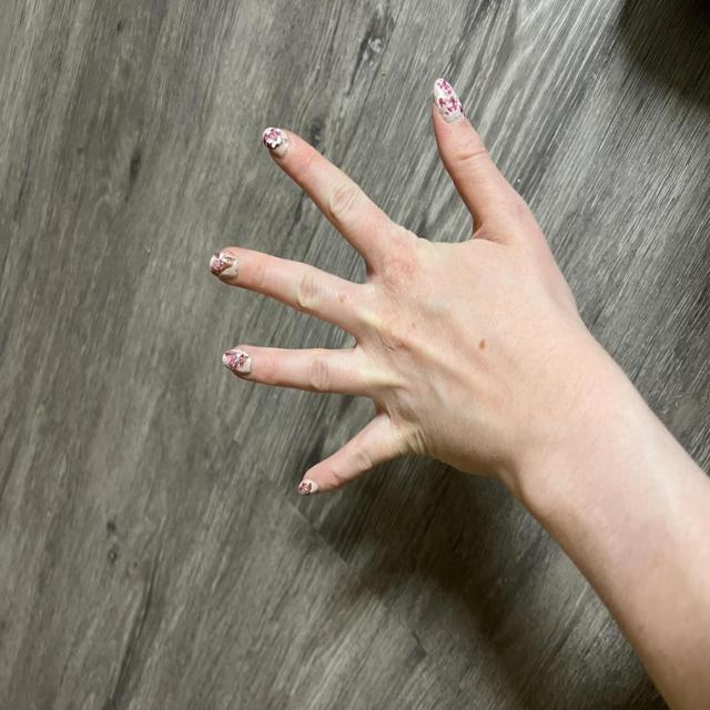 Avis Class - Roboflow Universe