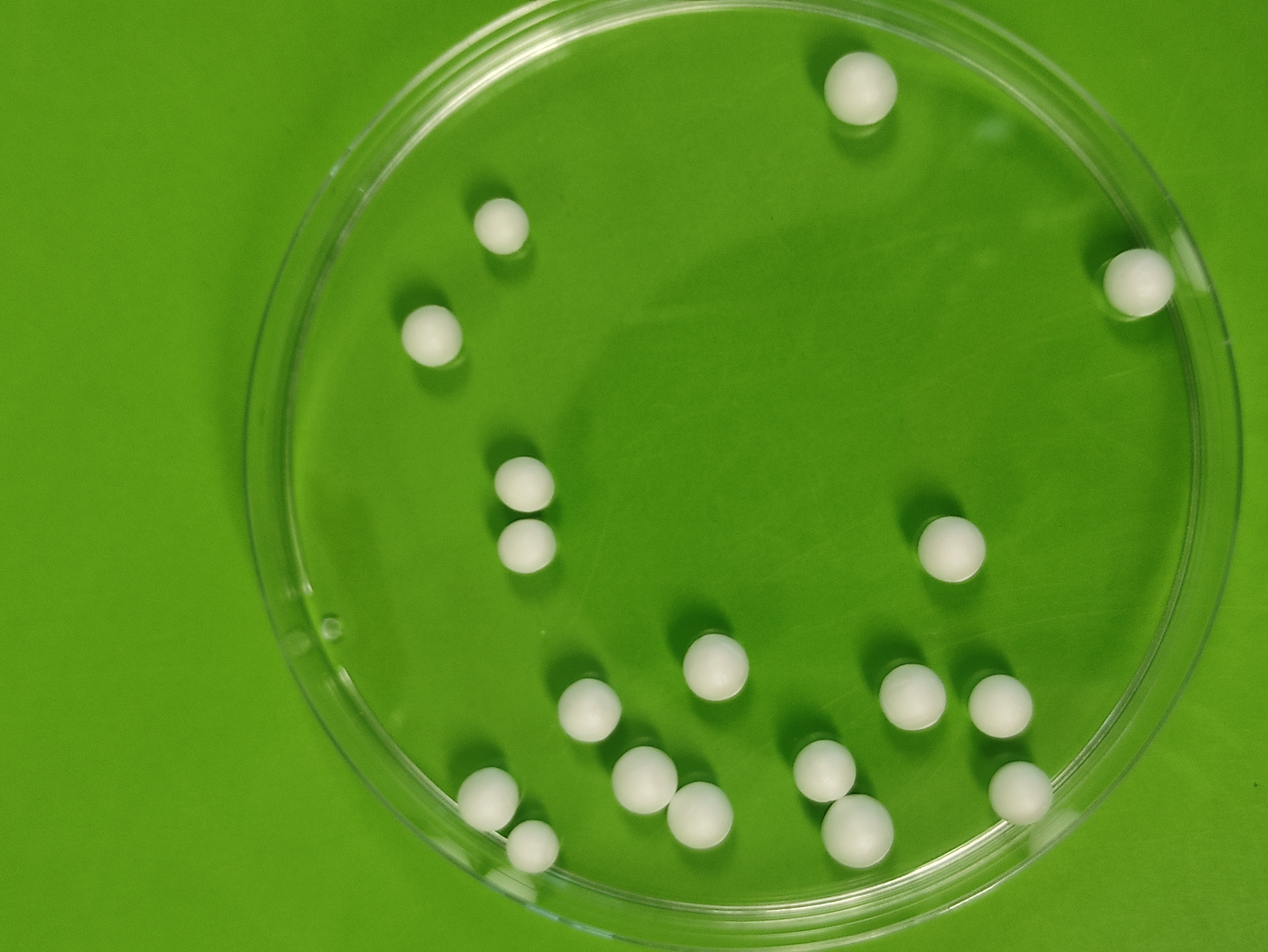 Microplastic Detection Object Detection Model By Dwcy