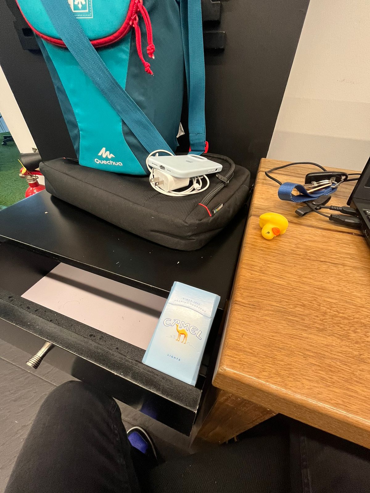 camel Object Detection Model by nadim