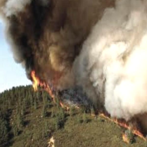 fire-smoke-Glob Instance Segmentation Dataset and Pre-Trained Model by egor-andreasyan-egor_andrik