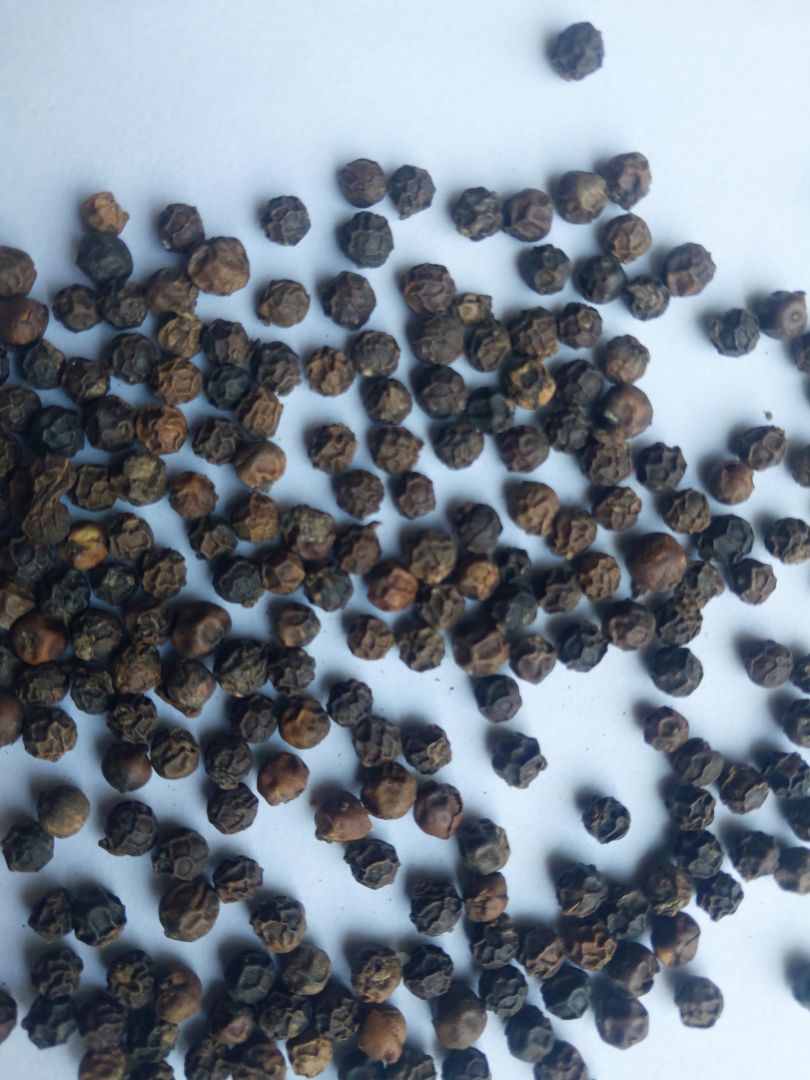 New Pure vs Impure 28.05 Object Detection Dataset and Pre-Trained Model ...