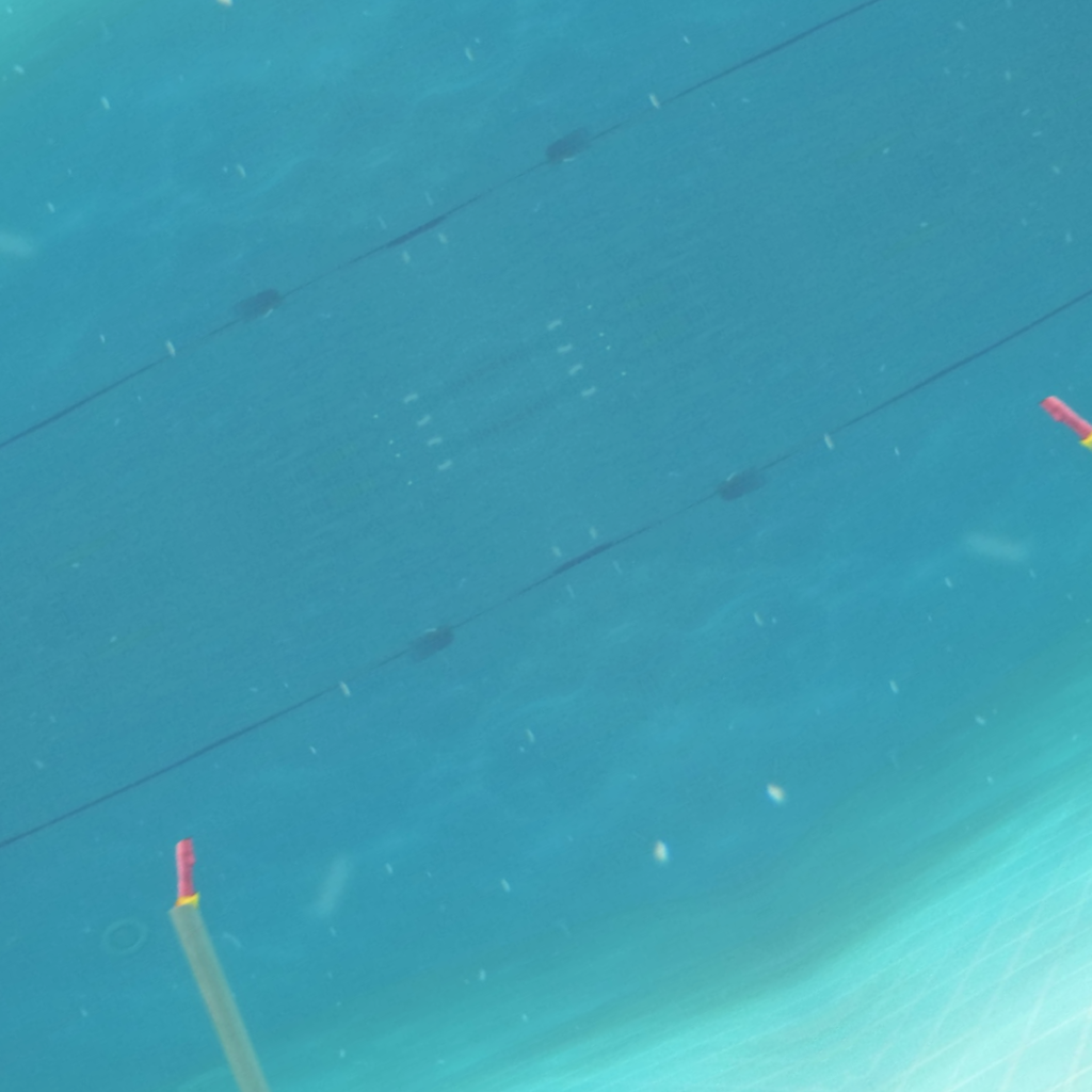 Final Red Pipe Detection Object Detection Dataset And Pre Trained Model By Tube