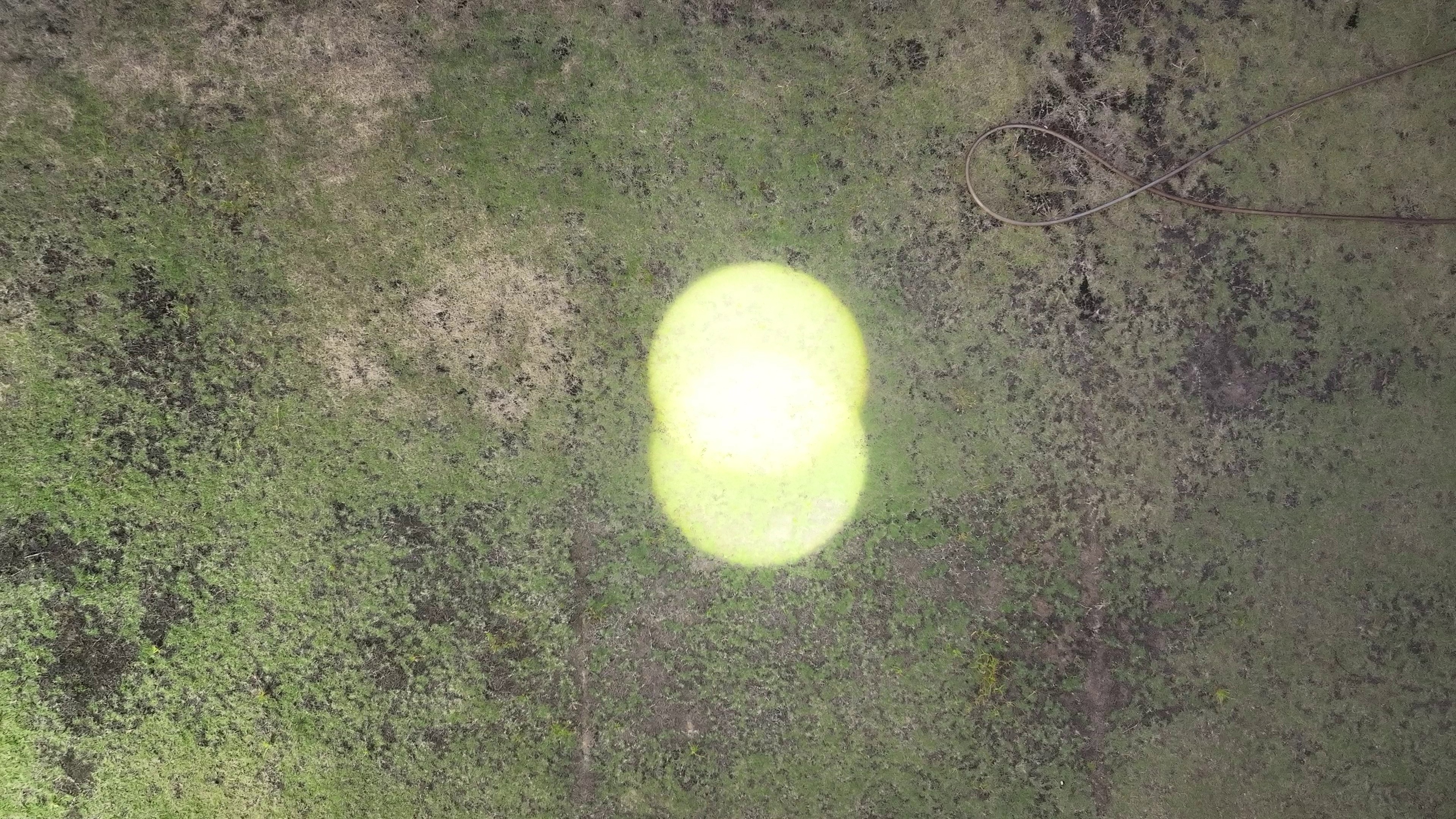 spot and person detector Object Detection Dataset by CZZN