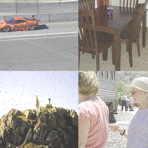 People detection Object Detection Model by jacky