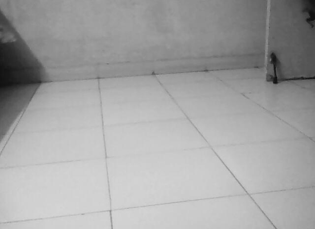 Smart Kids Car Object Detection Dataset by Smart Kids Car