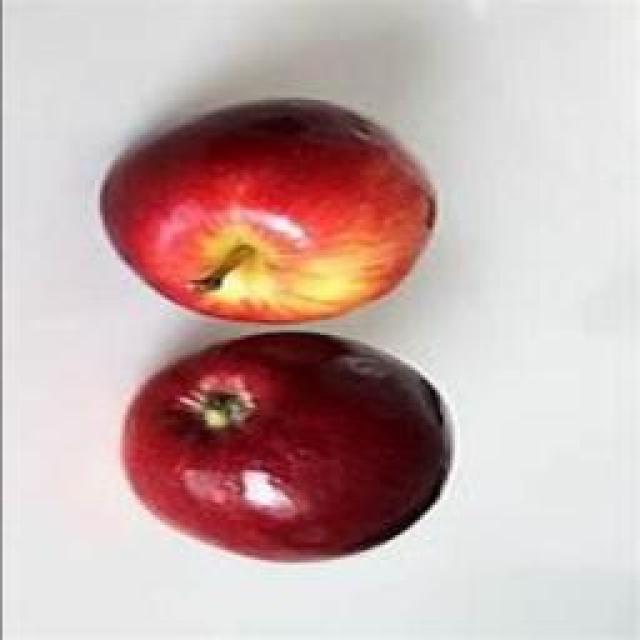 Fruit Detection Dataset Object Detection Model By Sarmadahmad