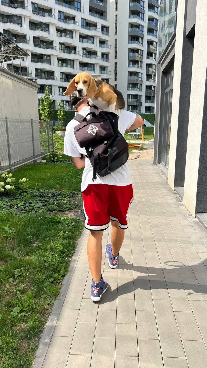 petr-stastny - Roboflow Universe