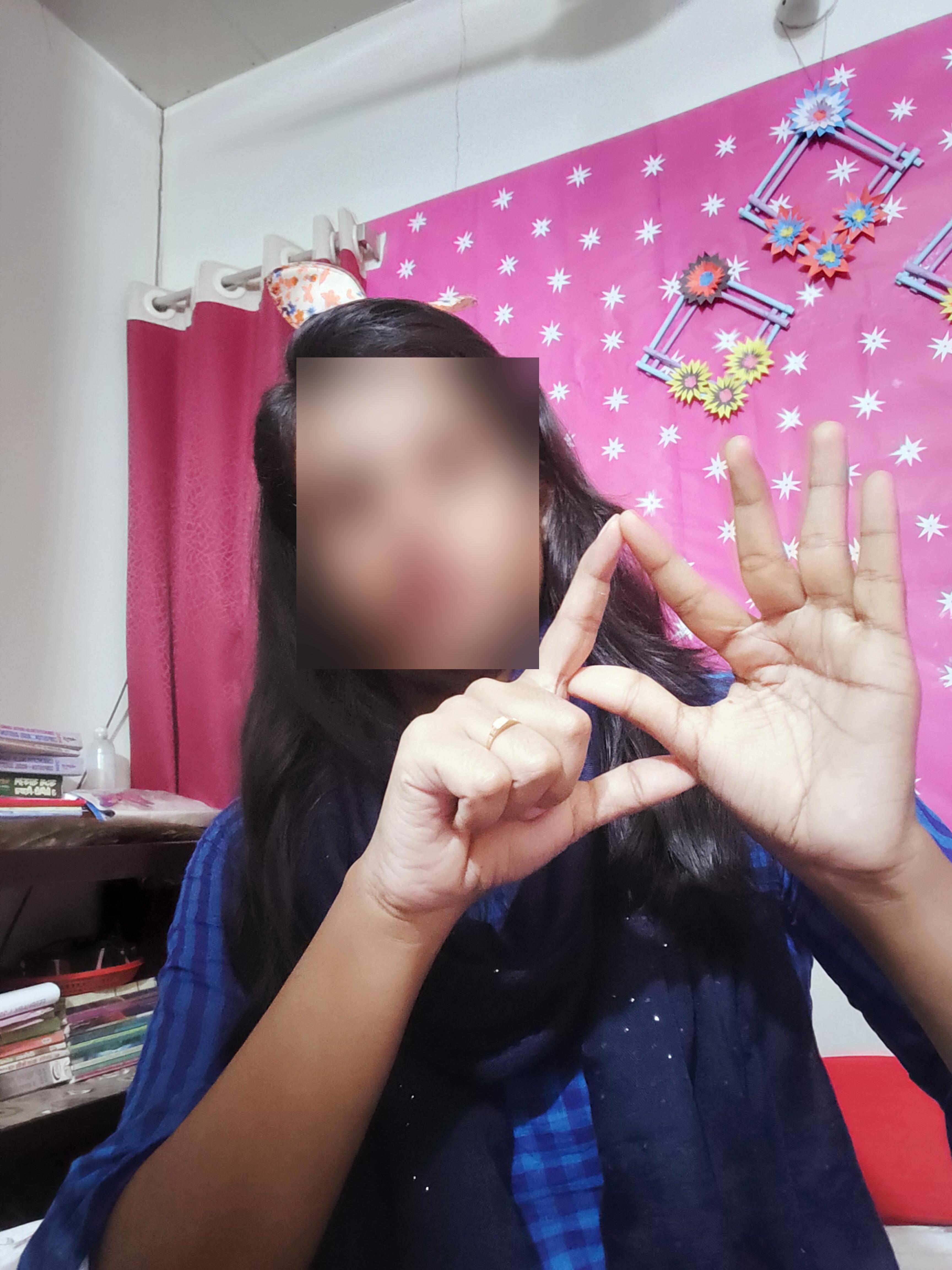 How to Use the Bengali Sign Language Detection Object Detection API