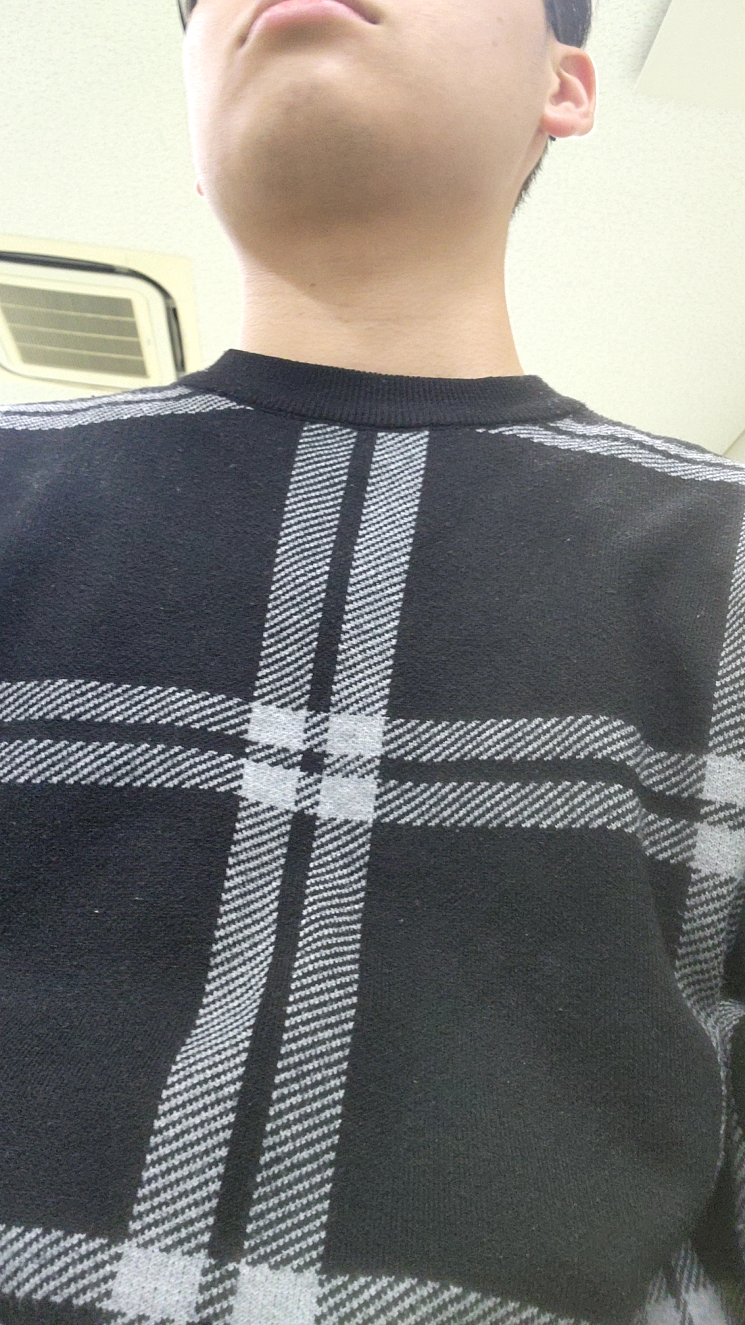 dataface Instance Segmentation Dataset and Pre-Trained Model by fuguharu