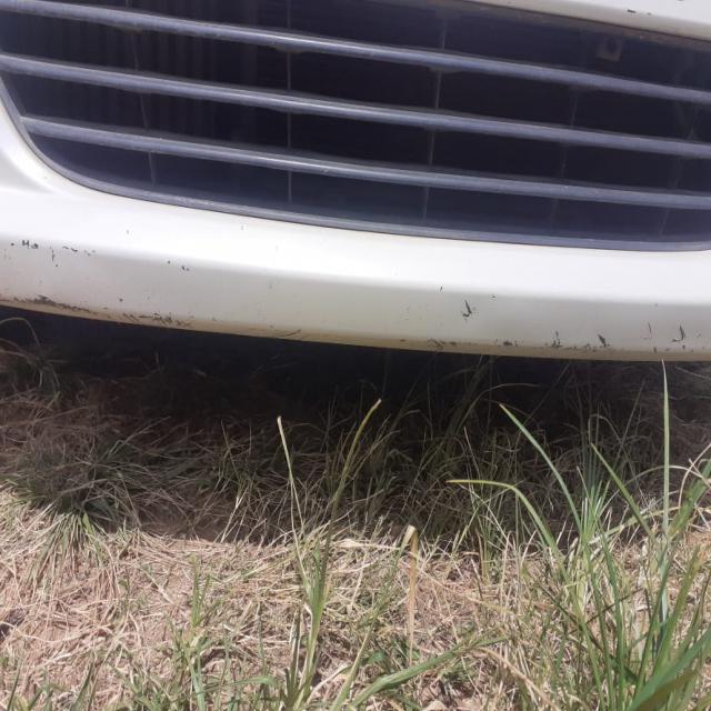 How to Use the Car Damage Detection Object Detection API