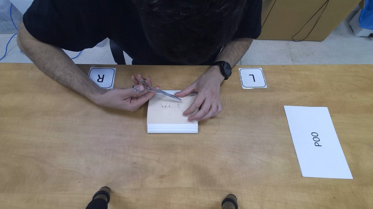 Hands v2 Object Detection Dataset by Technion