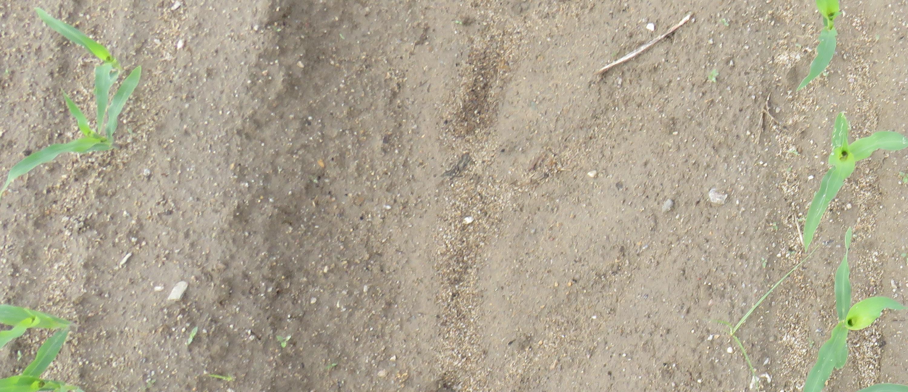 Auto Generated Dataset 7 Instance Segmentation Dataset And Pre Trained