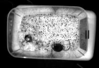 Juee - Roboflow Universe