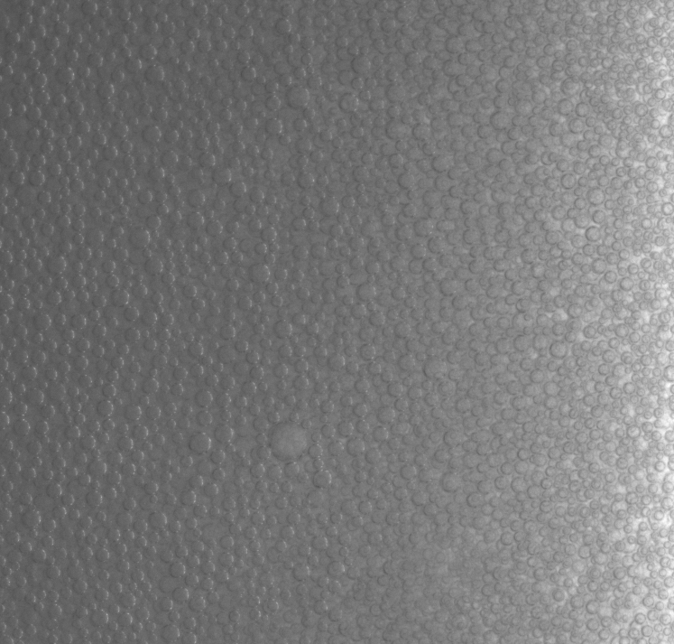 Bubbles Object Detection Dataset By Bubble In Fluid