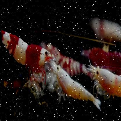 shrimp detection Object Detection Model by robotic fish