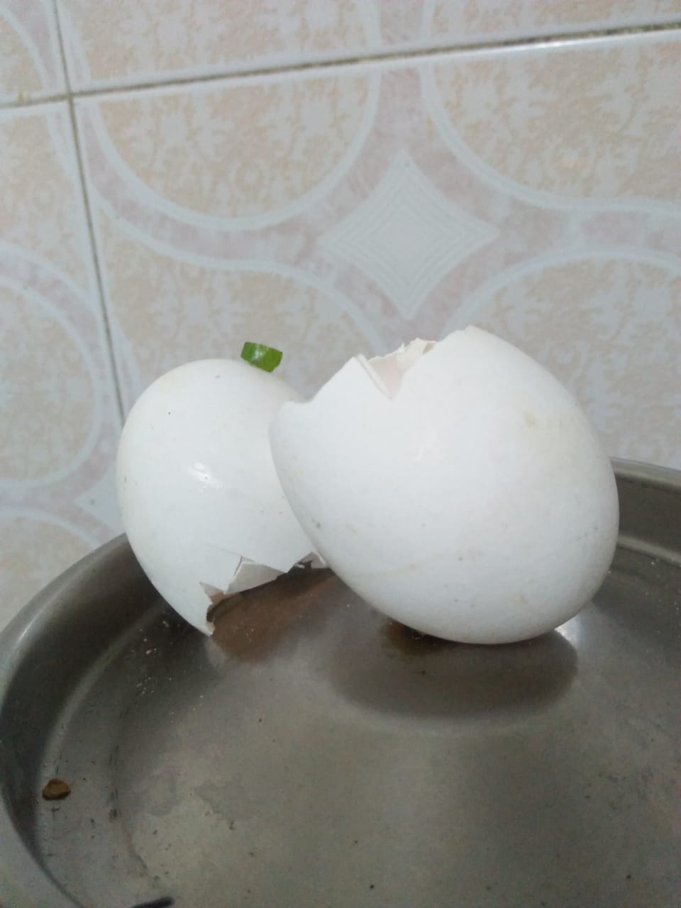 Image Classification (image-classification-27t3p) - Roboflow Universe