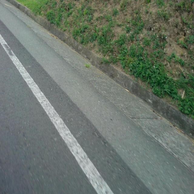 FERLOZ - Roboflow Universe