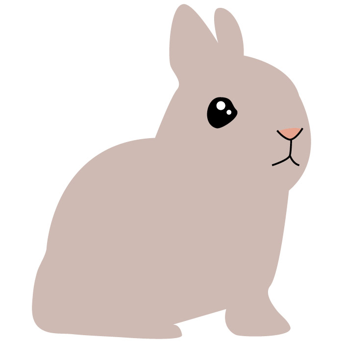 Rabbit Object Detection Dataset and Pre-Trained Model by CSM