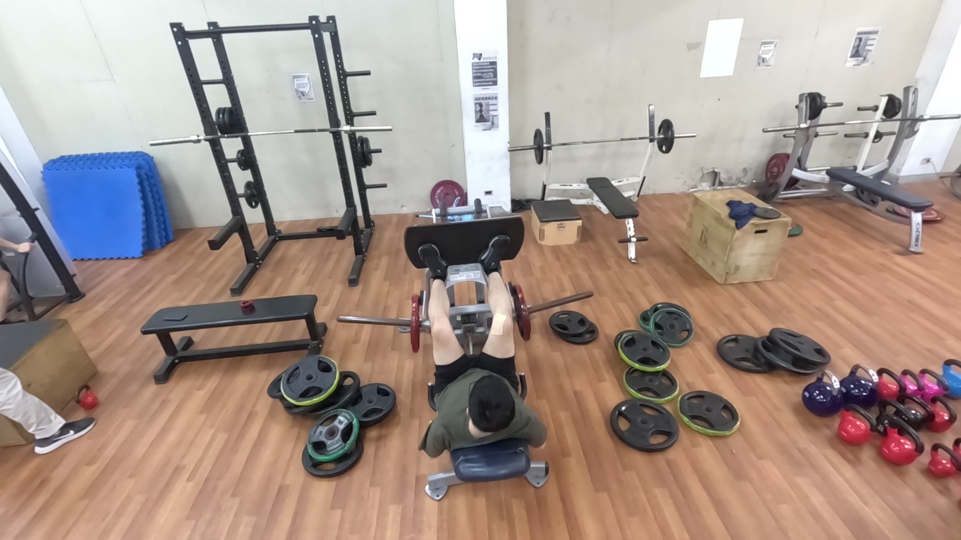 color Instance Segmentation Dataset by Yolo