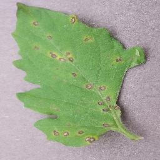 Bests Hunter Object Detection Dataset by NOVAAmiry