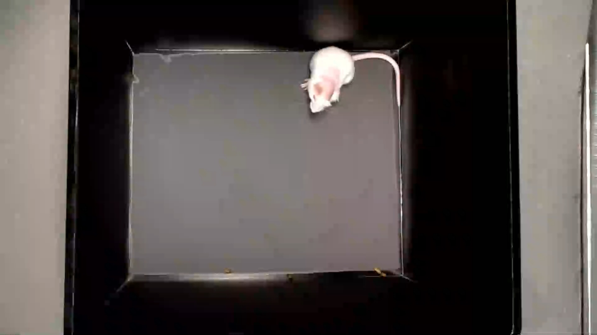 Paper 10 - Roboflow Universe