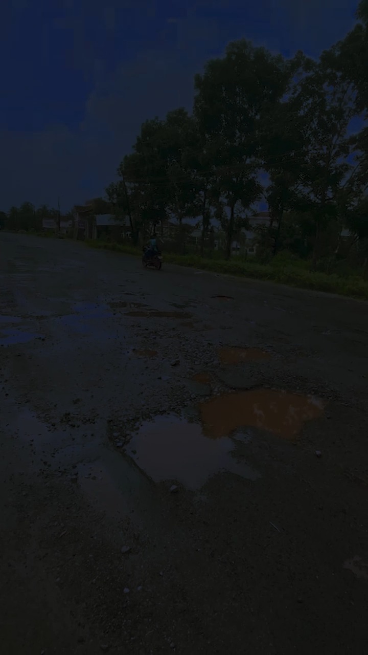 yolo-v8-set Instance Segmentation Model by project road damage